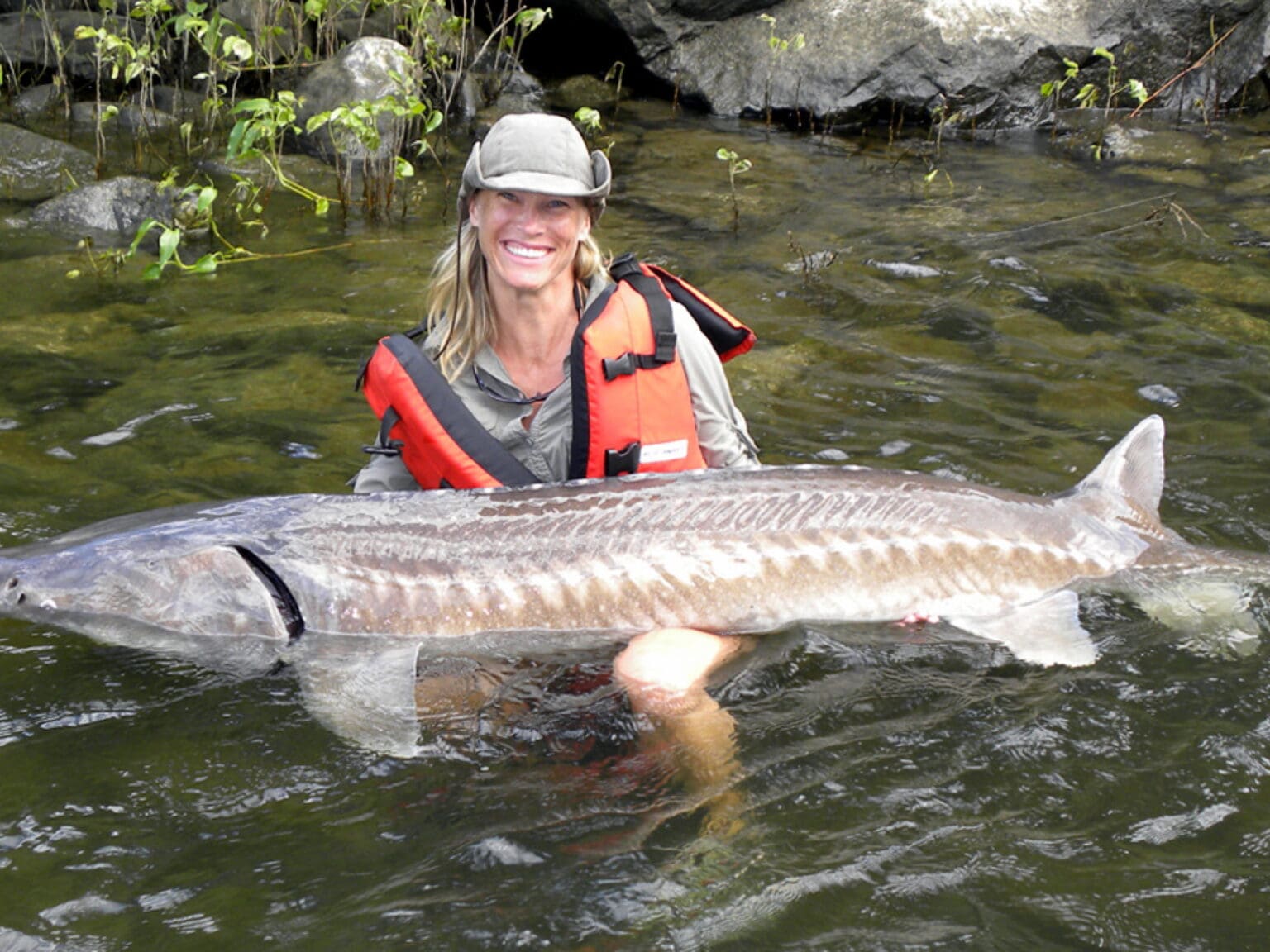American River Rafting | White Water Raft Trips | Tributary